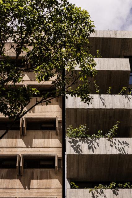 Short Lane | Woods Bagot