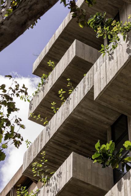 Short Lane | Woods Bagot