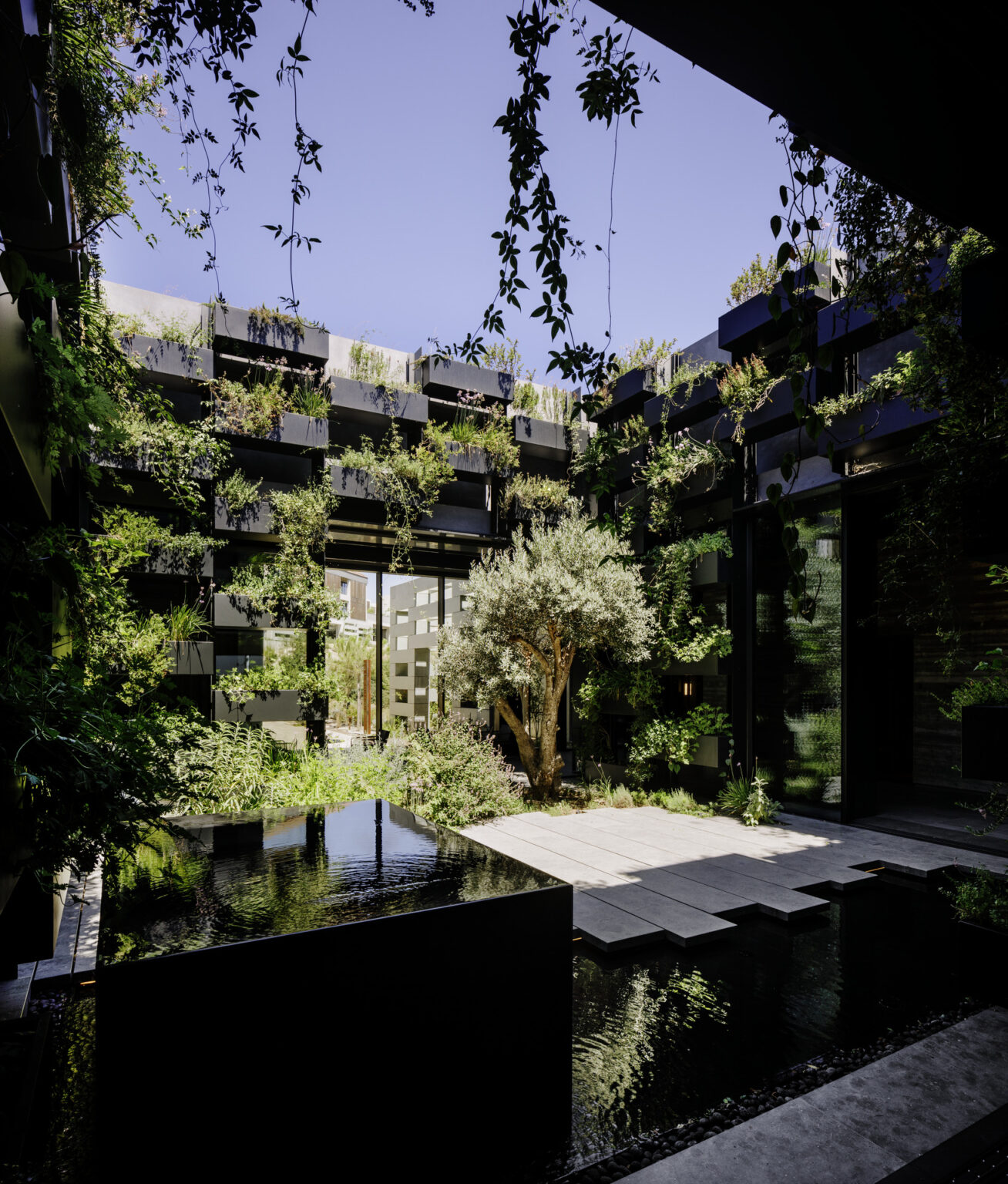 Minthis | Woods Bagot