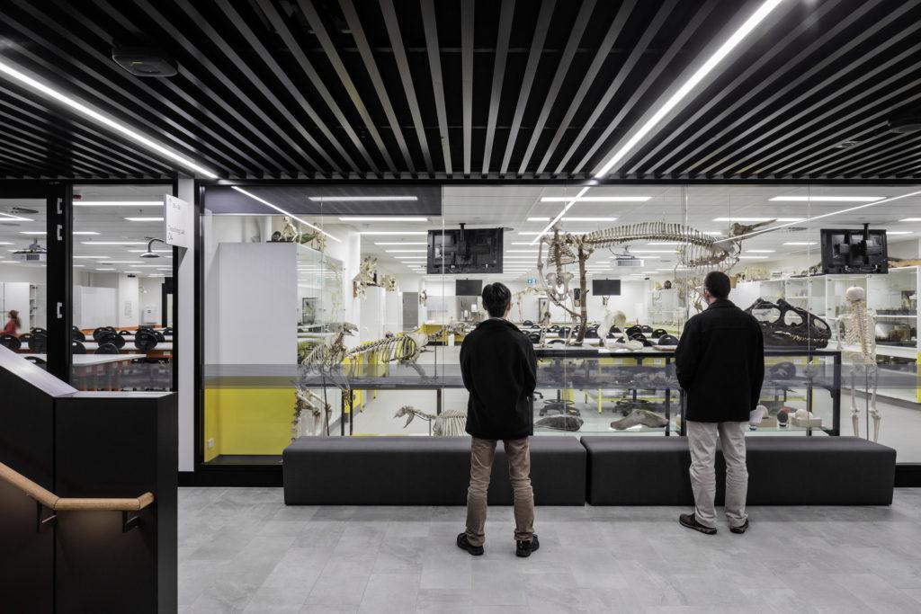 University of New South Wales Biological Sciences | Woods Bagot