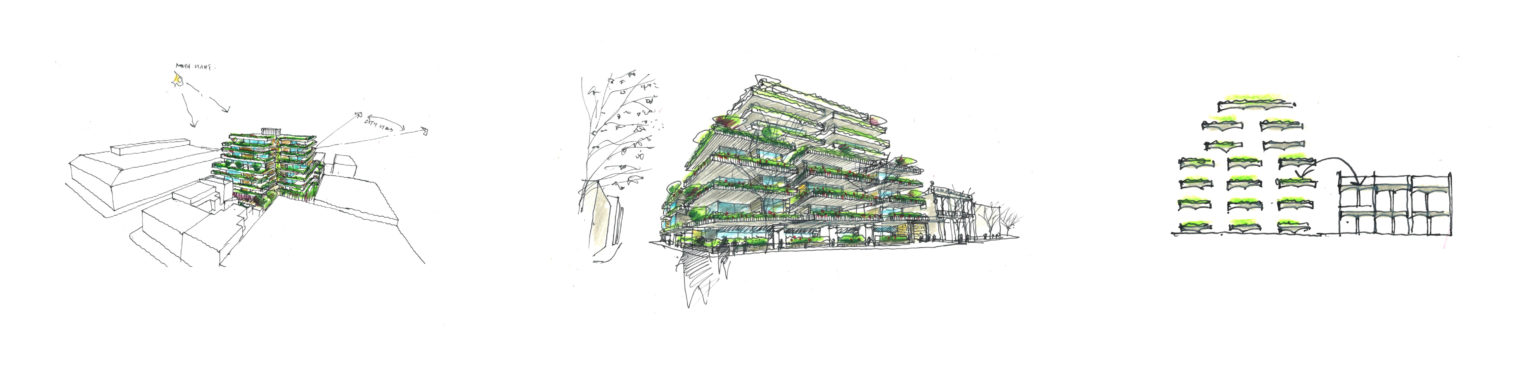 Piccolo House | Woods Bagot