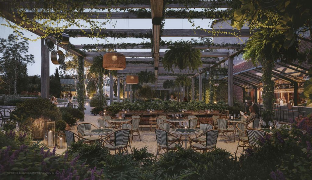 Burnham Beeches | Woods Bagot