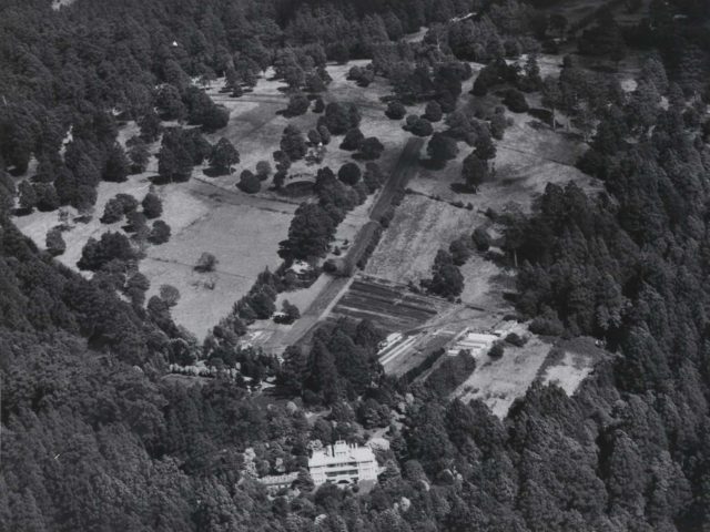 Woods Bagot to lead $100m masterplan of Burnham Beeches, Victoria’s Art ...