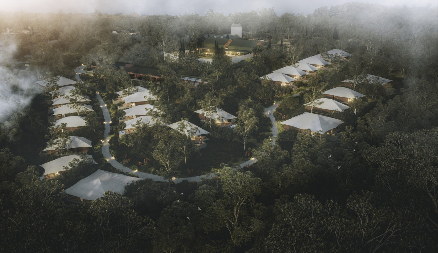 Burnham Beeches | Woods Bagot