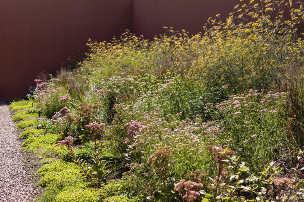 Piccolo House | Woods Bagot