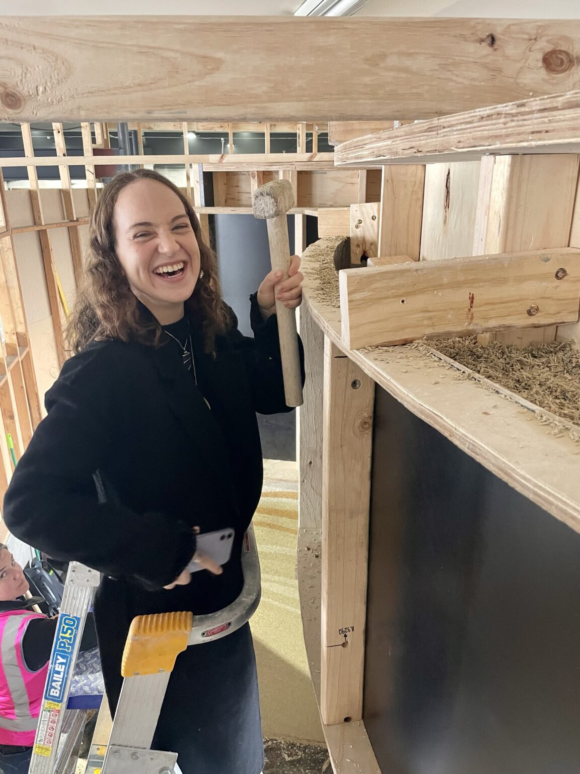 University of Tasmania Forestry Building to feature innovative hemp ...