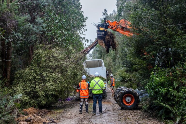 UTas project team reinstates native indoor forest beneath heritage dome ...