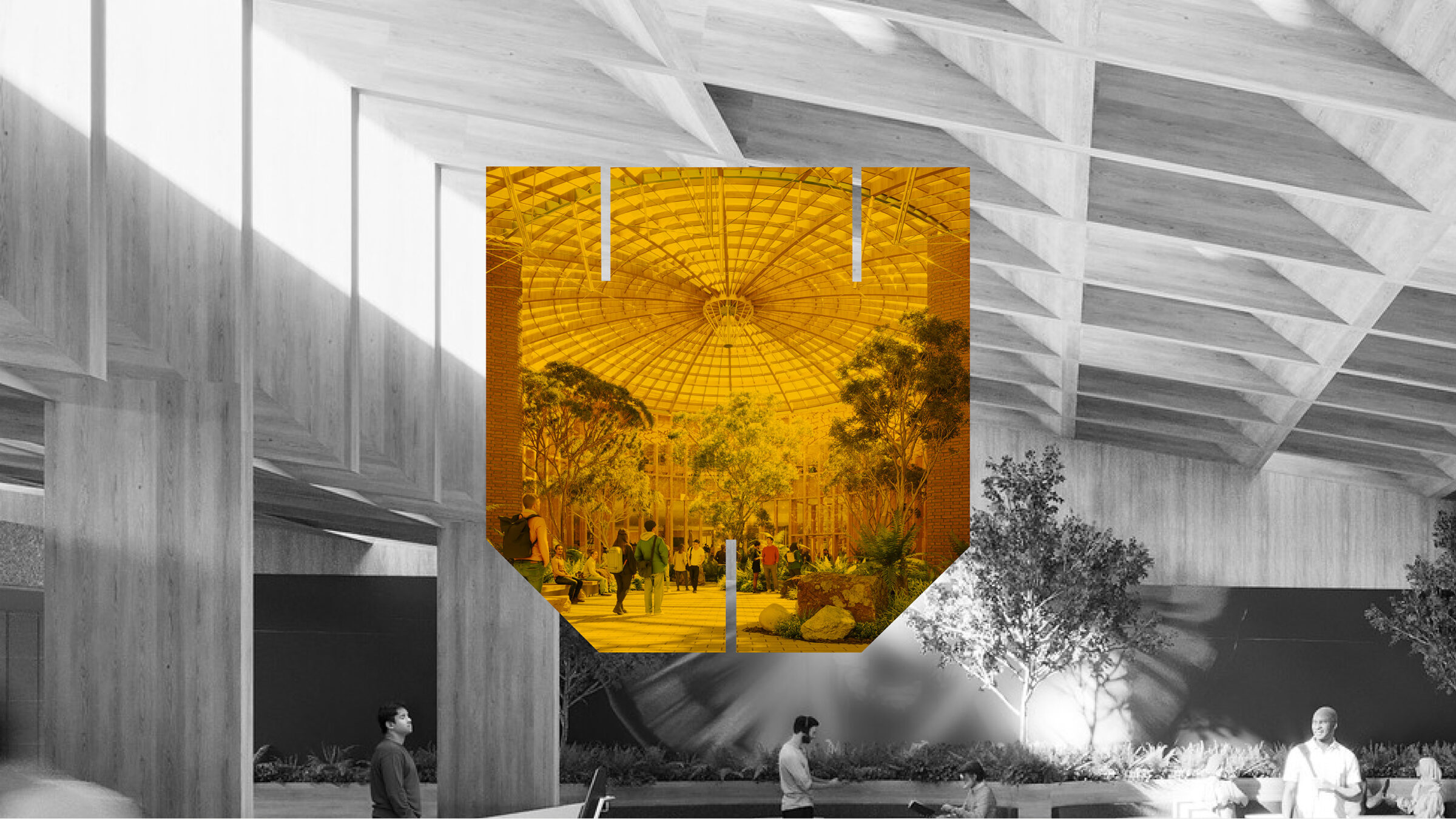 UTas Forestry Building wins best future education project at World ...